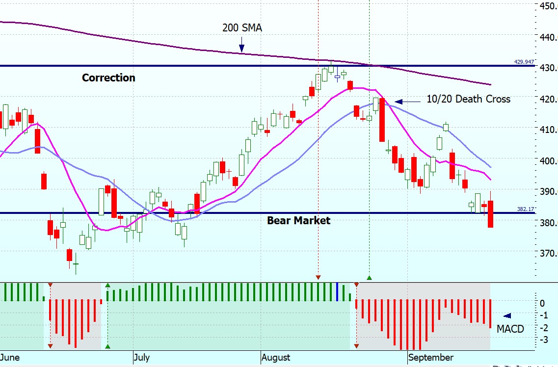 The Bear Is Back - Heather Cullen : In The Money Online