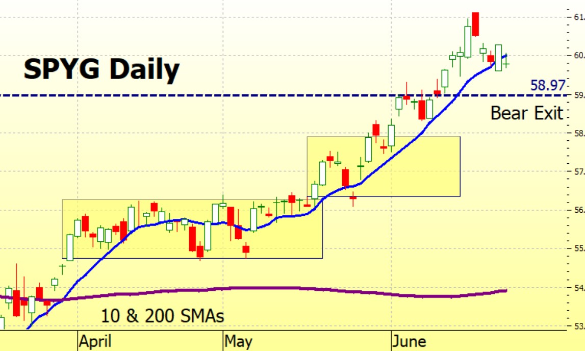Can You Bear It? - Heather Cullen : In The Money Online