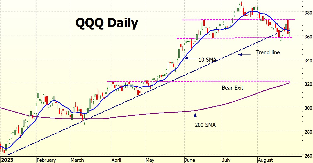 Why are options expensive? - Heather Cullen : In The Money Online