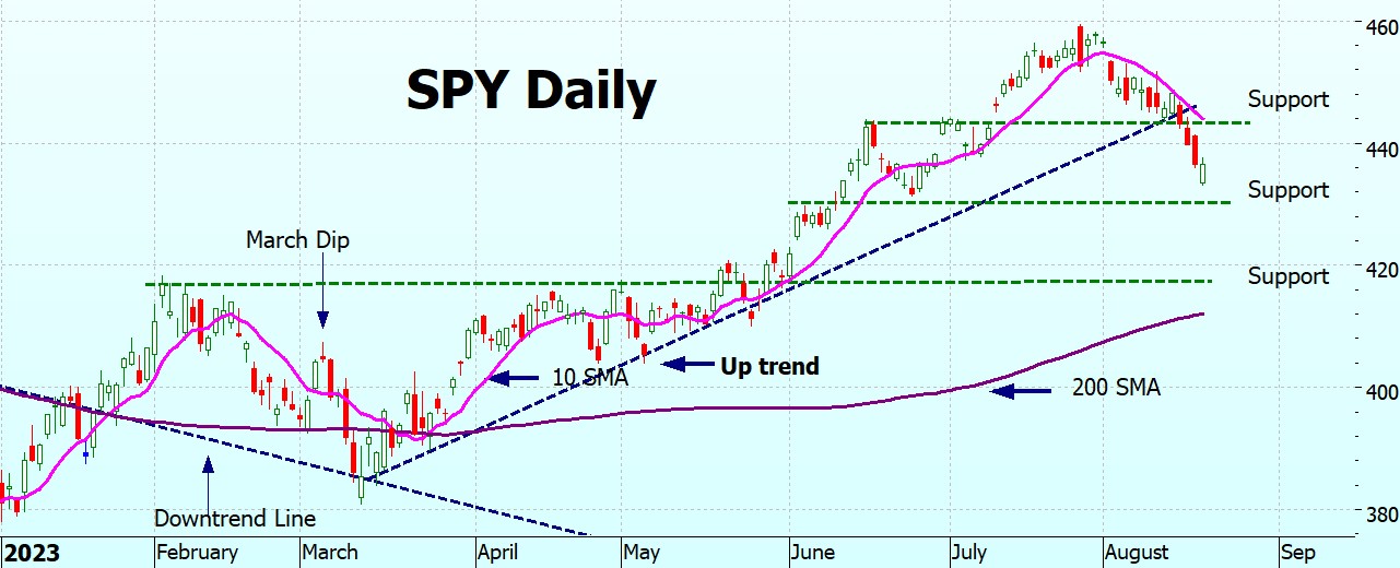 A Dismal Week - Heather Cullen : In The Money Online