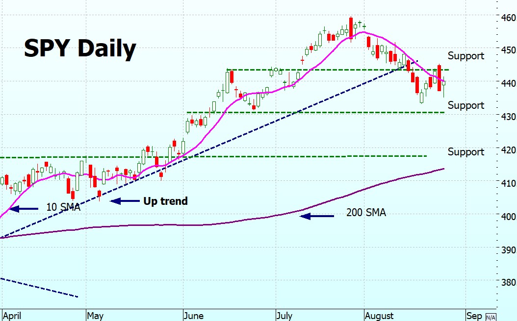 Why are options expensive? - Heather Cullen : In The Money Online