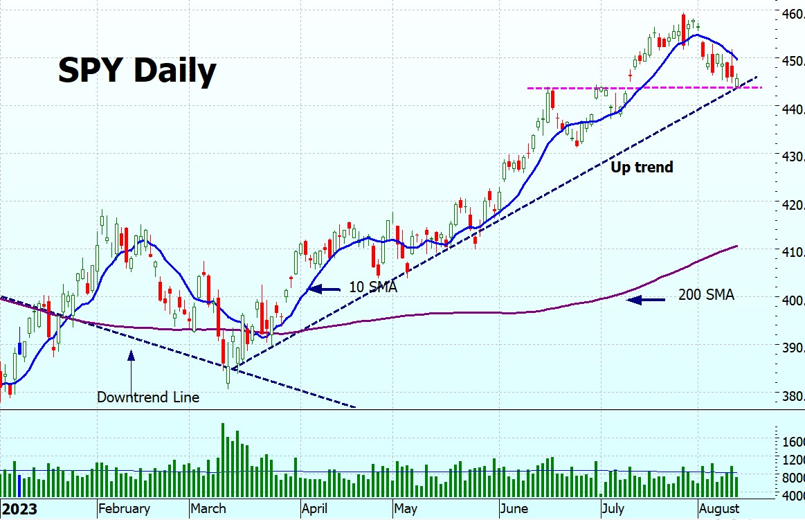 Bear Trap? - Heather Cullen : In The Money Online