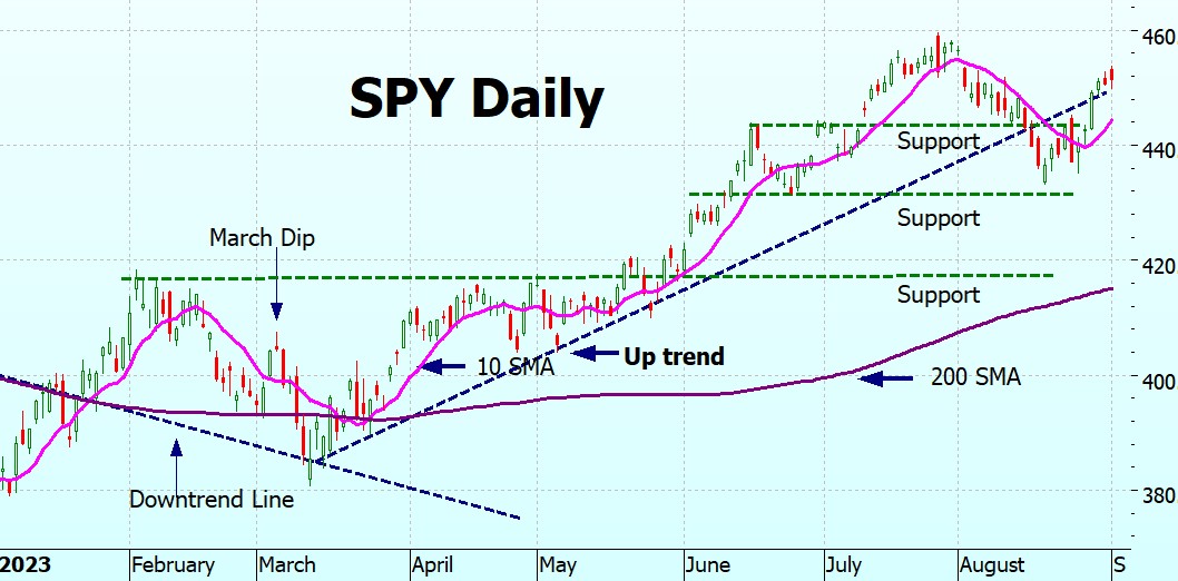Out of the woods? - Heather Cullen : In The Money Online