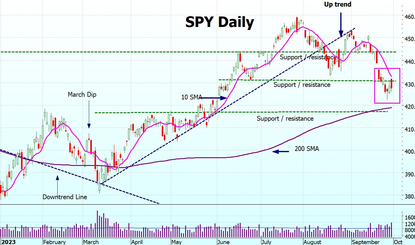 Liquidity and Open Interest - Heather Cullen : In The Money Online