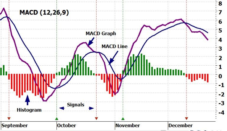 The MACD Indicator - Heather Cullen : In The Money Online